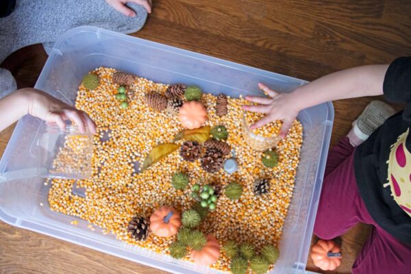 Fall Sensory Bin - Busy Toddler