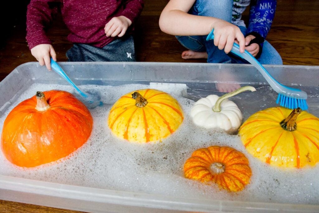 Clean the Pumpkins Fall Toddler Activity - Busy Toddler