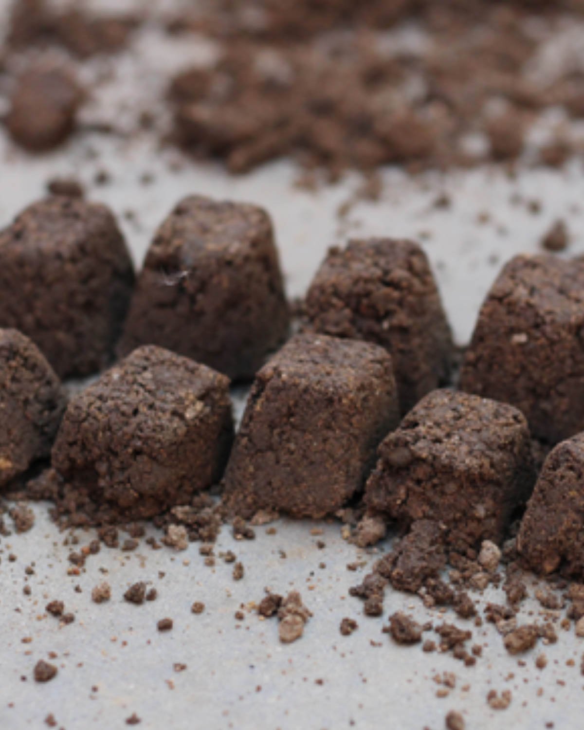 50+ Outdoor Activities for Kids - Busy Toddler