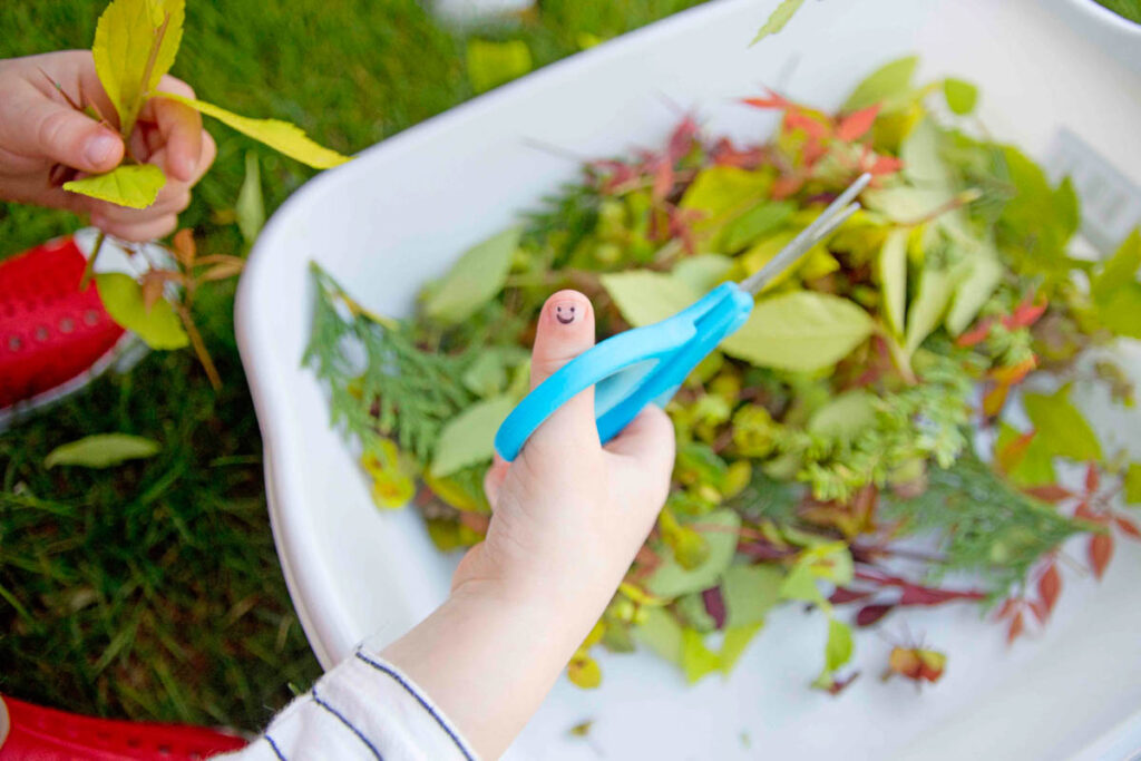 Nature Cutting Bin for Preschoolers - Busy Toddler