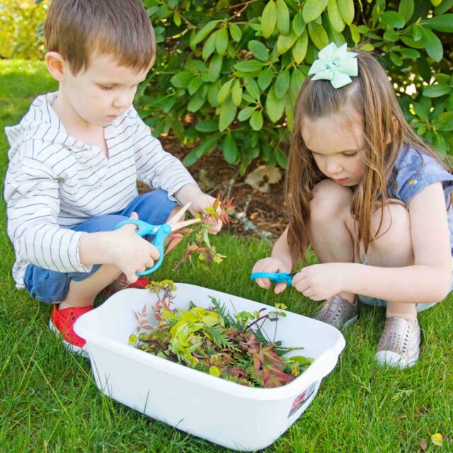 Nature Cutting Bin for Preschoolers - Busy Toddler