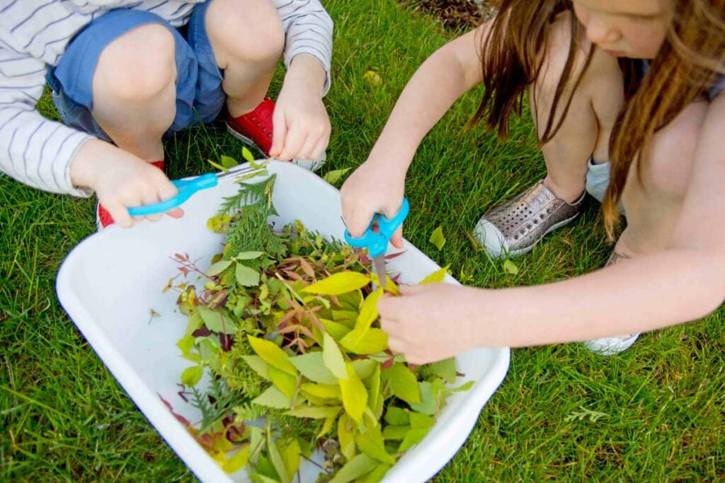 Nature Cutting Bin for Preschoolers - Busy Toddler