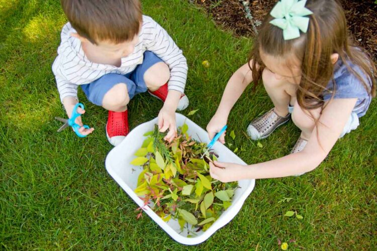 Nature Cutting Bin for Preschoolers - Busy Toddler