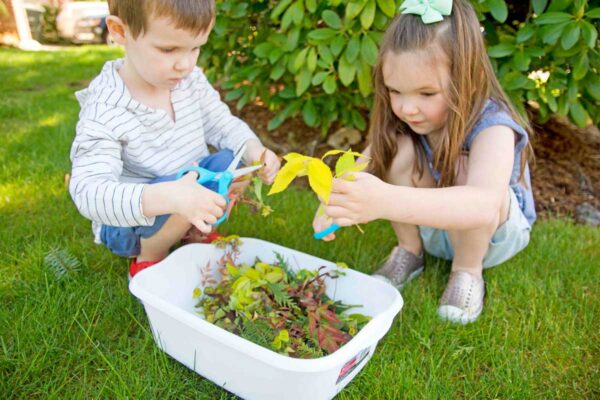 Nature Cutting Bin for Preschoolers - Busy Toddler