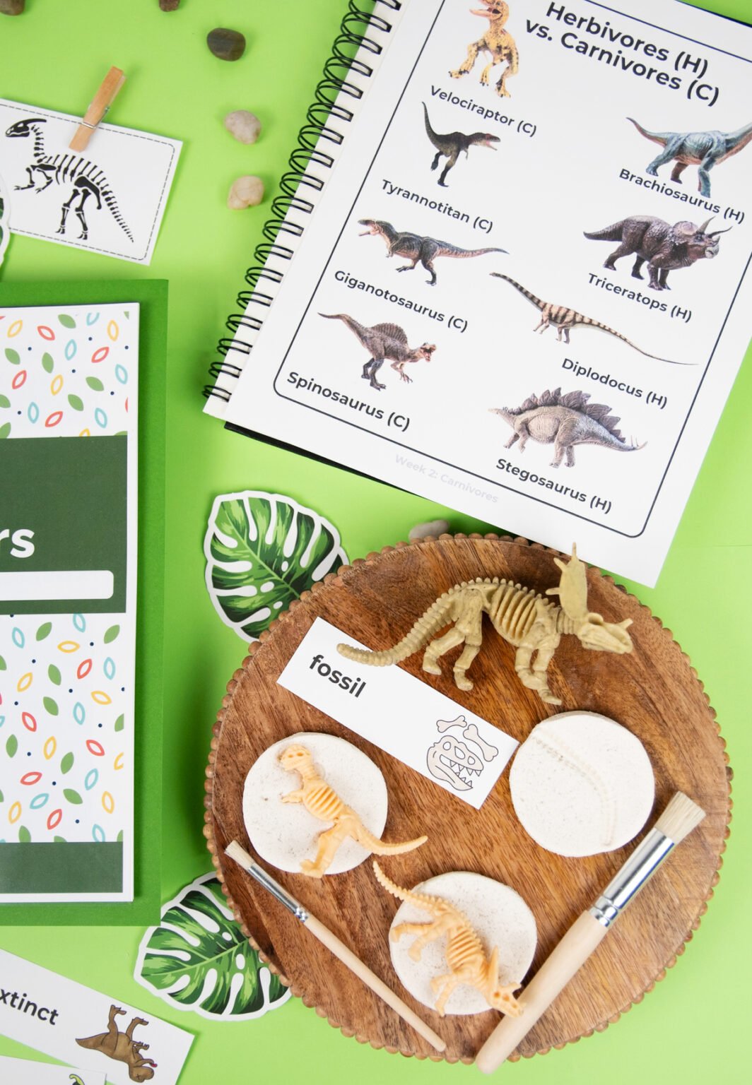 Branches Curriculum Elementary Learning - Busy Toddler