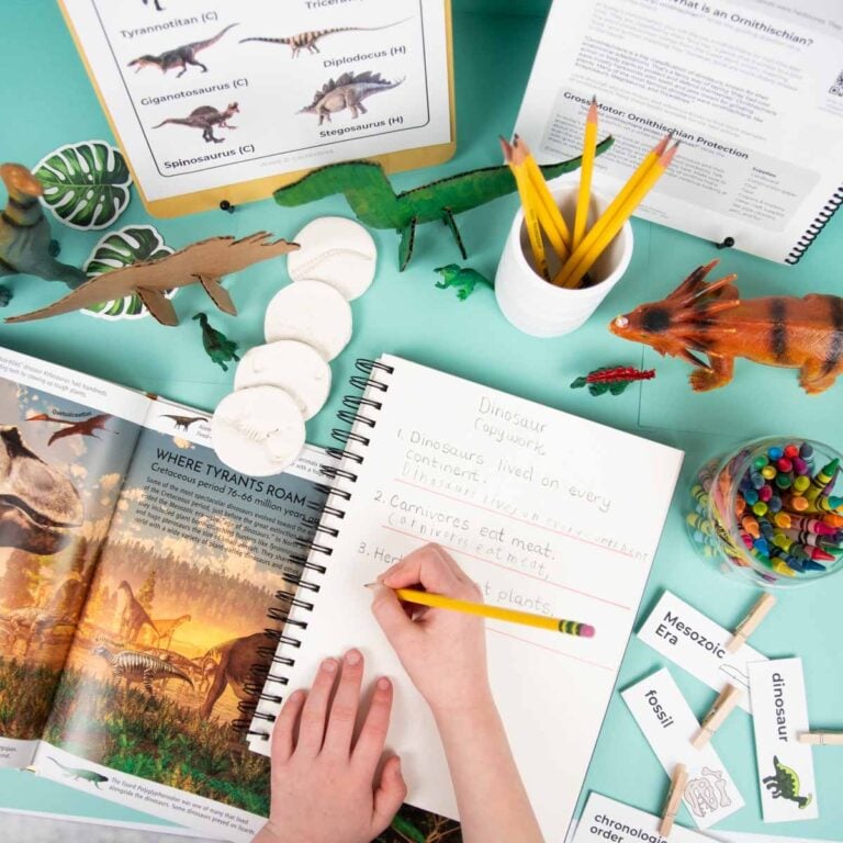 Branches Curriculum Elementary Learning - Busy Toddler