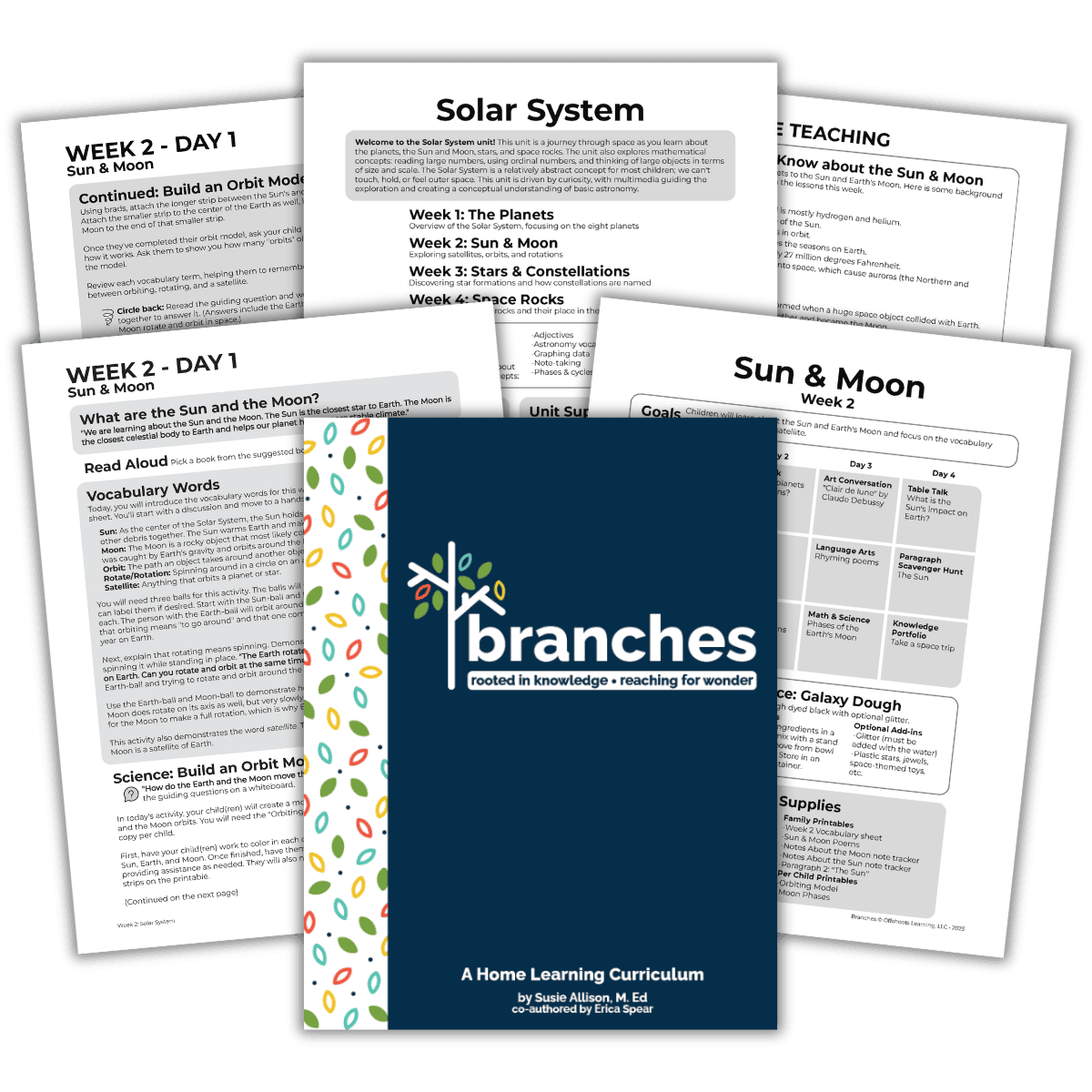 Branches Curriculum Elementary Learning - Busy Toddler