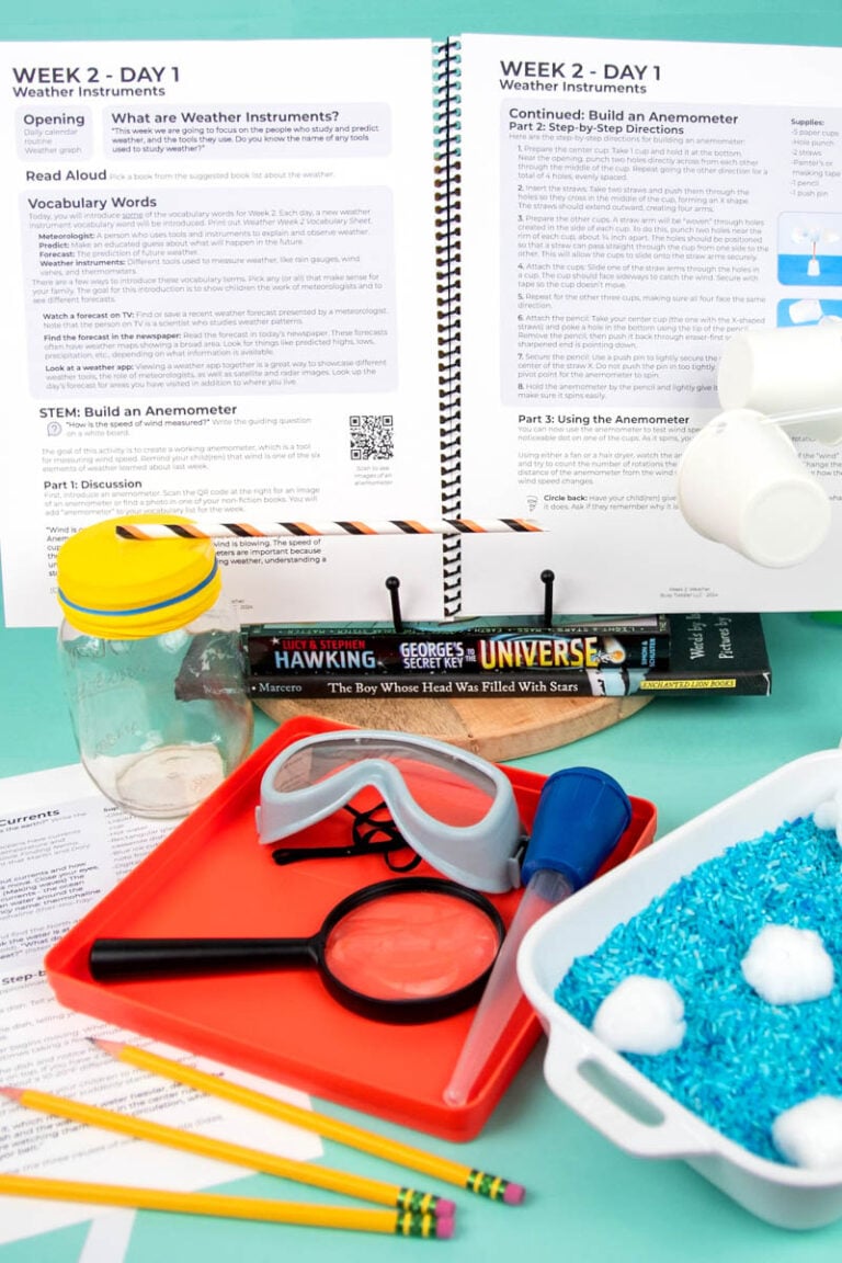 Branches Curriculum Elementary Learning - Busy Toddler